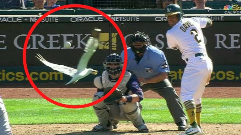 Crazy Sports Moments That Defied Expectations